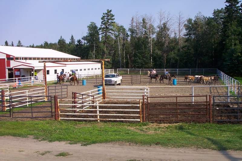Indoor/Outdoor Riding Arena | Red Lodge Guest Ranch